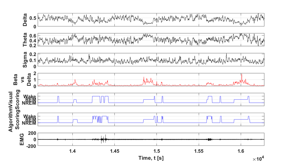 Research Areas | Memory and Navigation Lab - The University of Iowa